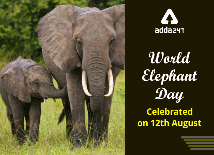 World Elephant Day celebrated on 12th August