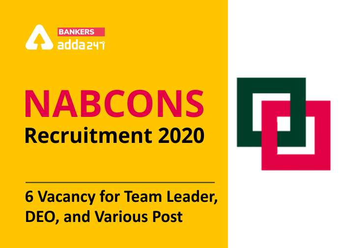NABCONS Recruitment 2020: 6 Vacancy for Team Leader, DEO, and Various Post