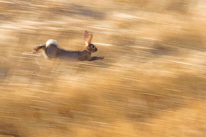 Vocabulary Words: Improve Your Vocabulary with Antonyms & Synonyms: 5 ...