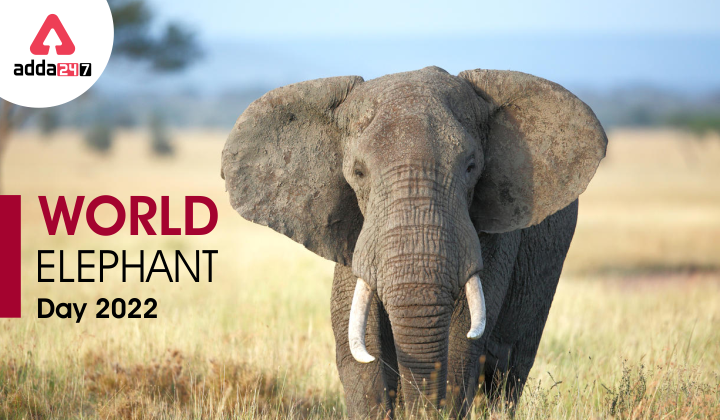 World Elephant Day 2022, History & Significance