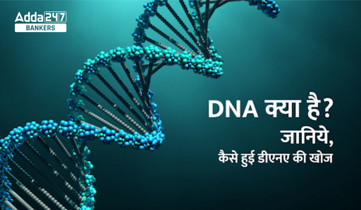 What is DNA (डीऑक्सीराइबोन्यूक्लिक एसिड) ? जानिये, इसकी खोज, संरचना और ...