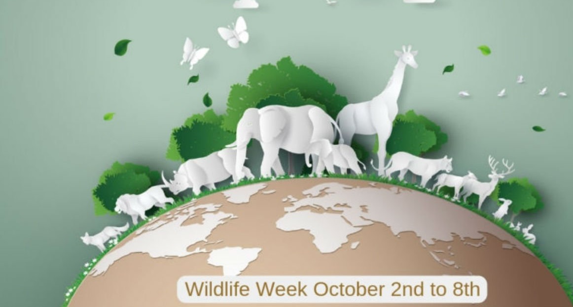 Wildlife Week is celebrated from 2nd to 8th October