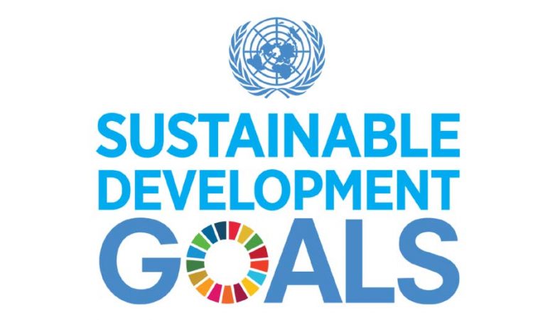 India slips two spots on 17th Sustainable Development Goals report