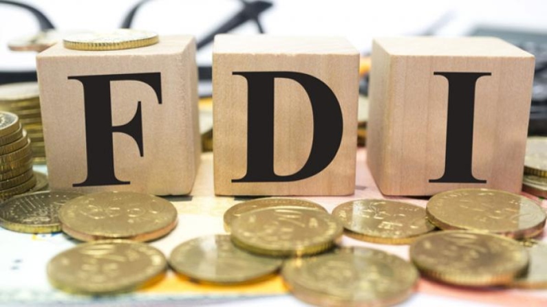 India was fifth largest recipient of FDI in 2020: UN Report