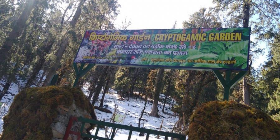India's first Cryptogamic Garden Inaugurated in Uttarakhand