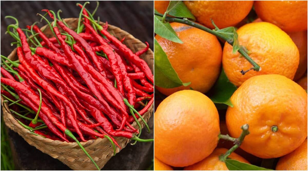 Manipur's Sirarakhong Chilli and Tamenglong Orange gets GI tag