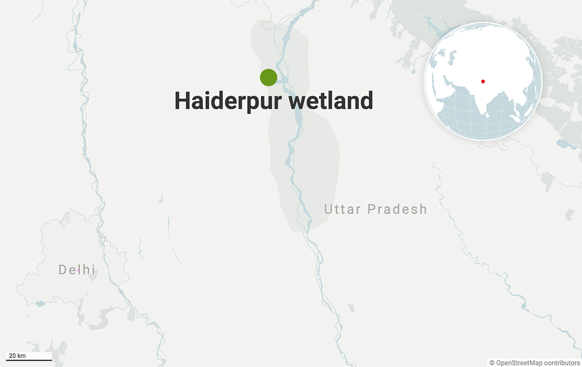 Haiderpur wetland in Uttar Pradesh recognised as Ramsar Site