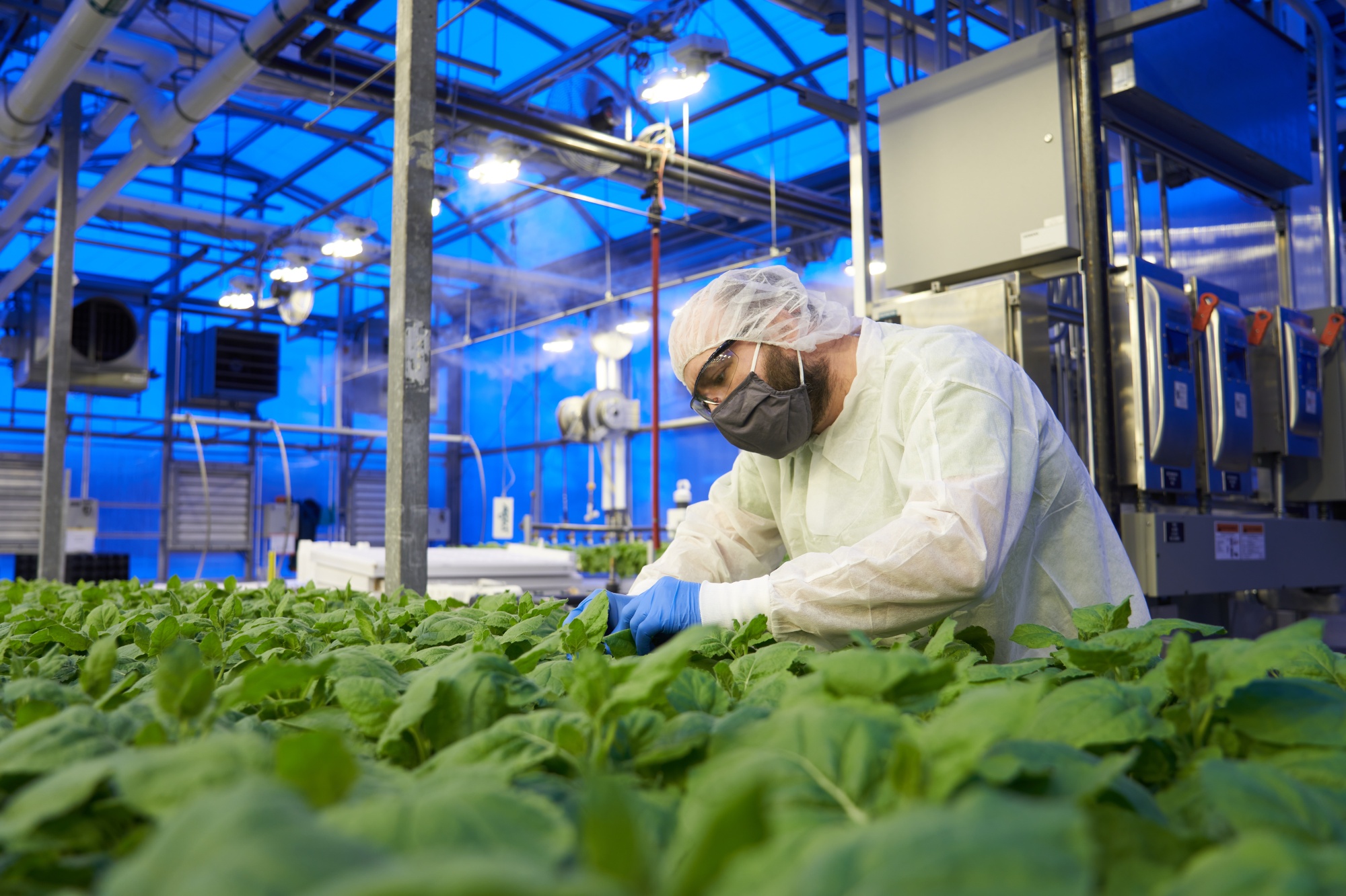 Canada approved world's 1st plant-derived COVID-19 vaccine