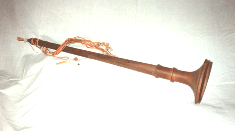 Tamil Nadu's Narasingapettai Nagaswaram got geographical identification tag