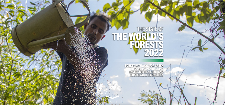 FAO's flagship released its publication "The State of the World's Forests"