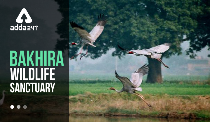 Bakhira Wildlife Sanctuary 2022: Features and Importance