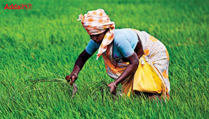 Uttar Pradesh Government to Provide a Unique Farm ID to the Farmers