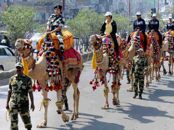 BSF's first female camel riding squad to be deployed along the India ...