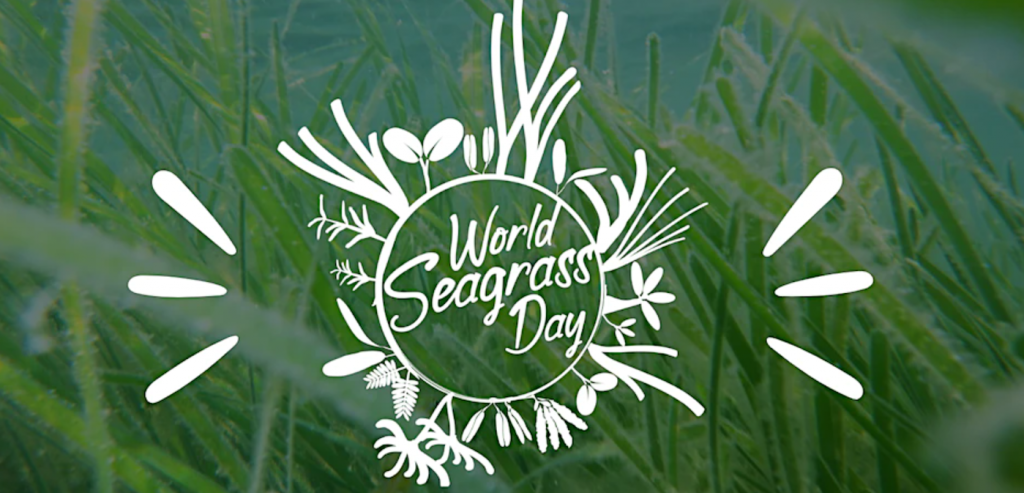 Important Days In March 2023 India International Dates List