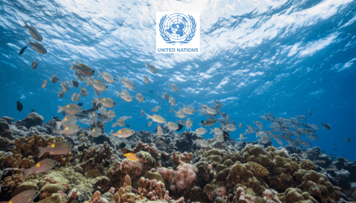 First Ever Treaty To Safeguard High Seas Marine Life Adopted By Un Members