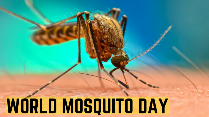 World Mosquito Day 2023: Date, Significance, Celebration, and History
