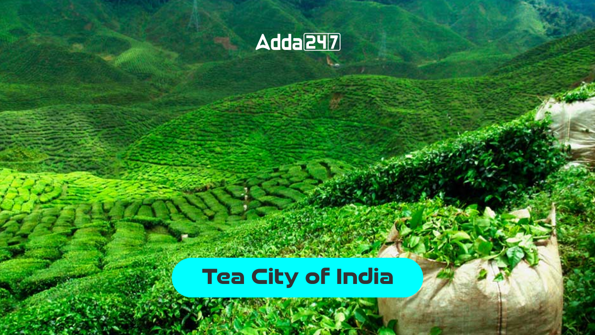 Tea City of India, Know the City Name