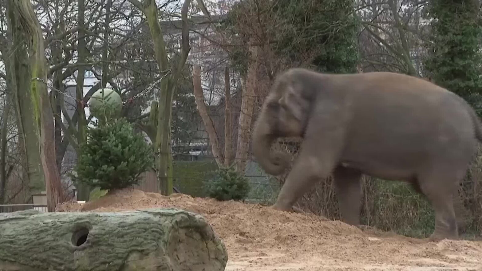 Maharashtra Government Declares New Atpadi Conservation Reserve in ...