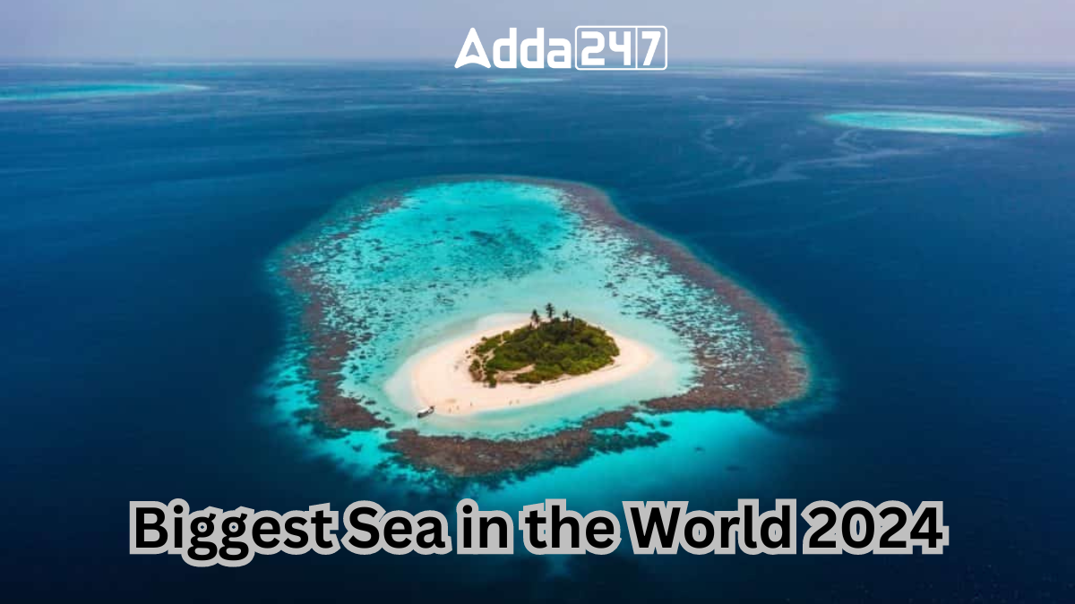 Biggest Sea in the World, List of Top-10