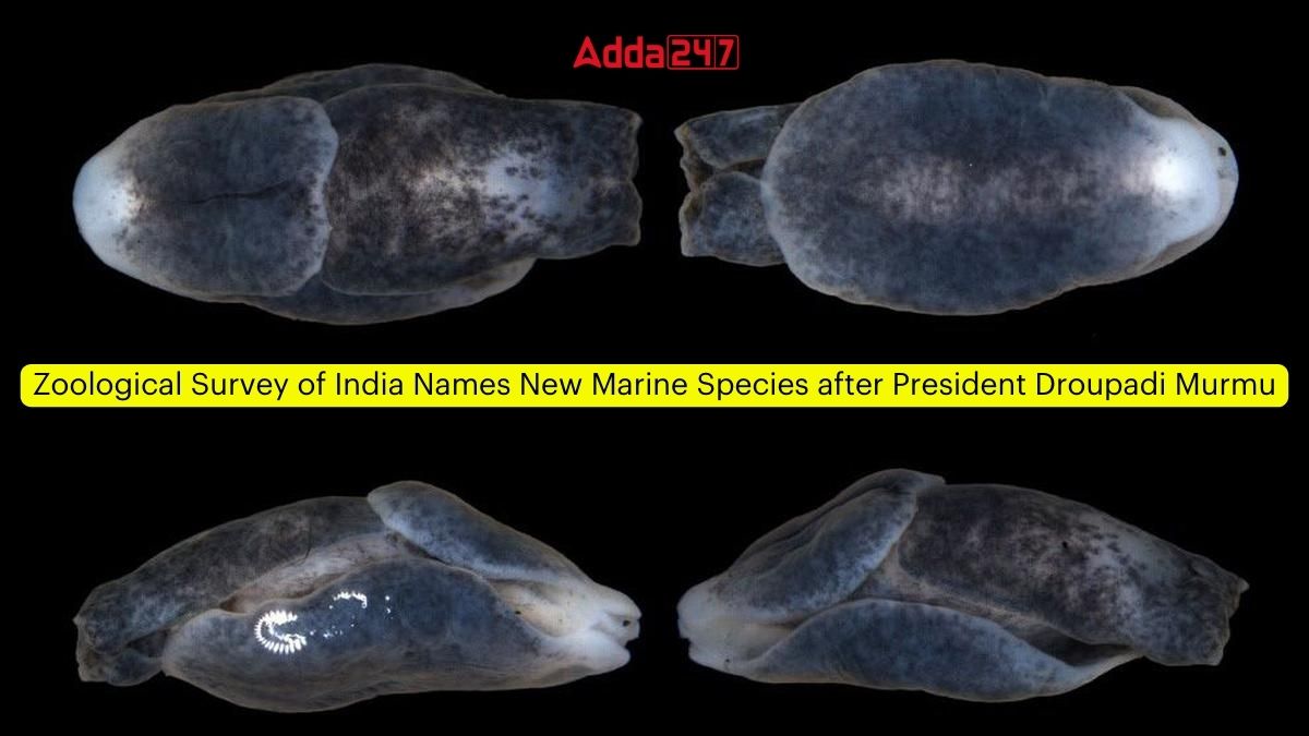 Zoological Survey of India Names New Marine Species after President ...