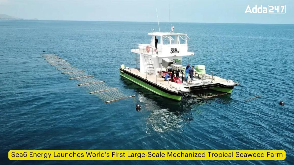 Sea6 Energy Launches World's First Large-Scale Mechanized Tropical Seaweed Farm