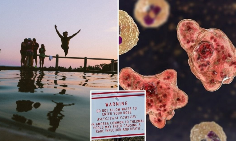 दक ष ण क र य म Brain Eating Amoeba स पहल म त